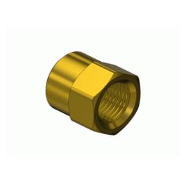 Pipe Thread Cap Fitting